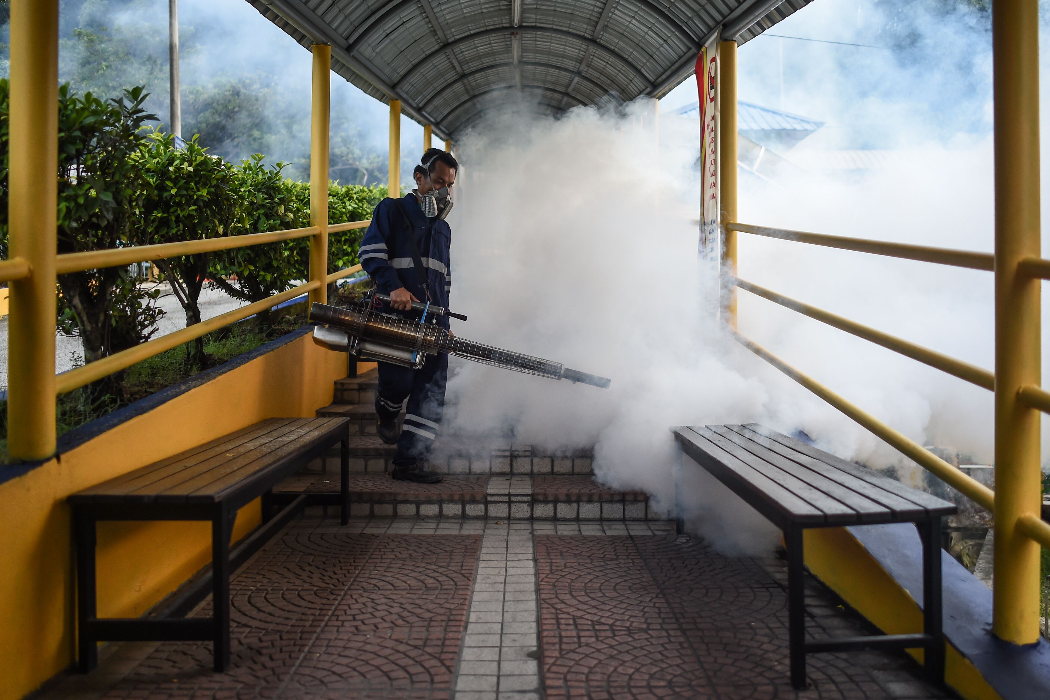 Zika virus in Singapore likely evolved from Southeast Asia - The Japan ...